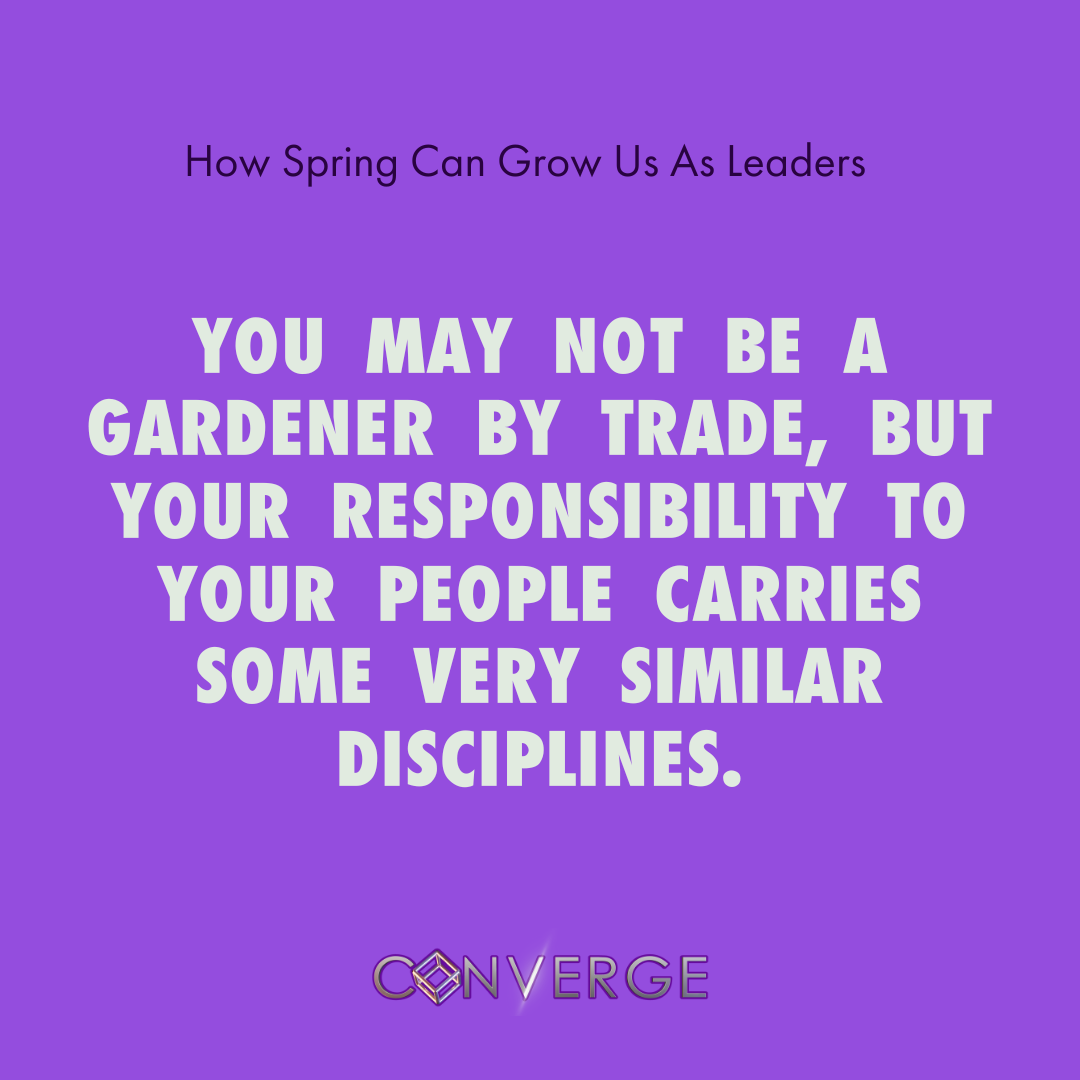 How Spring Can Grow Us as Leaders - Converge